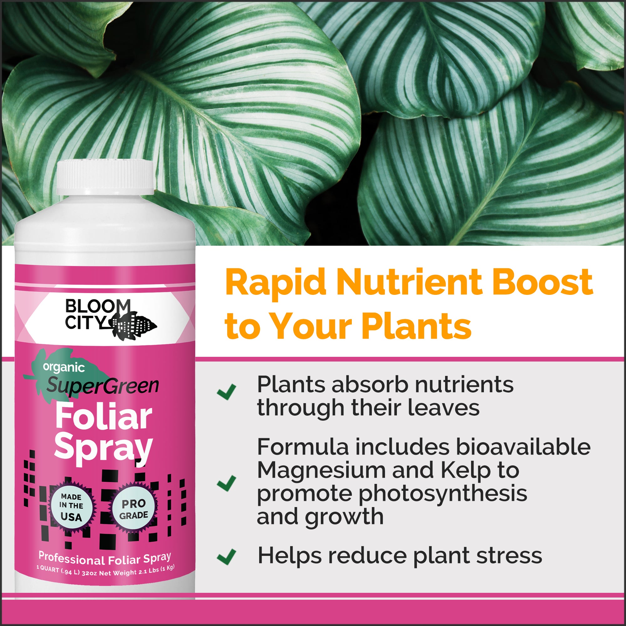 SuperGreen Foliar Spray | Organic - Bloom City